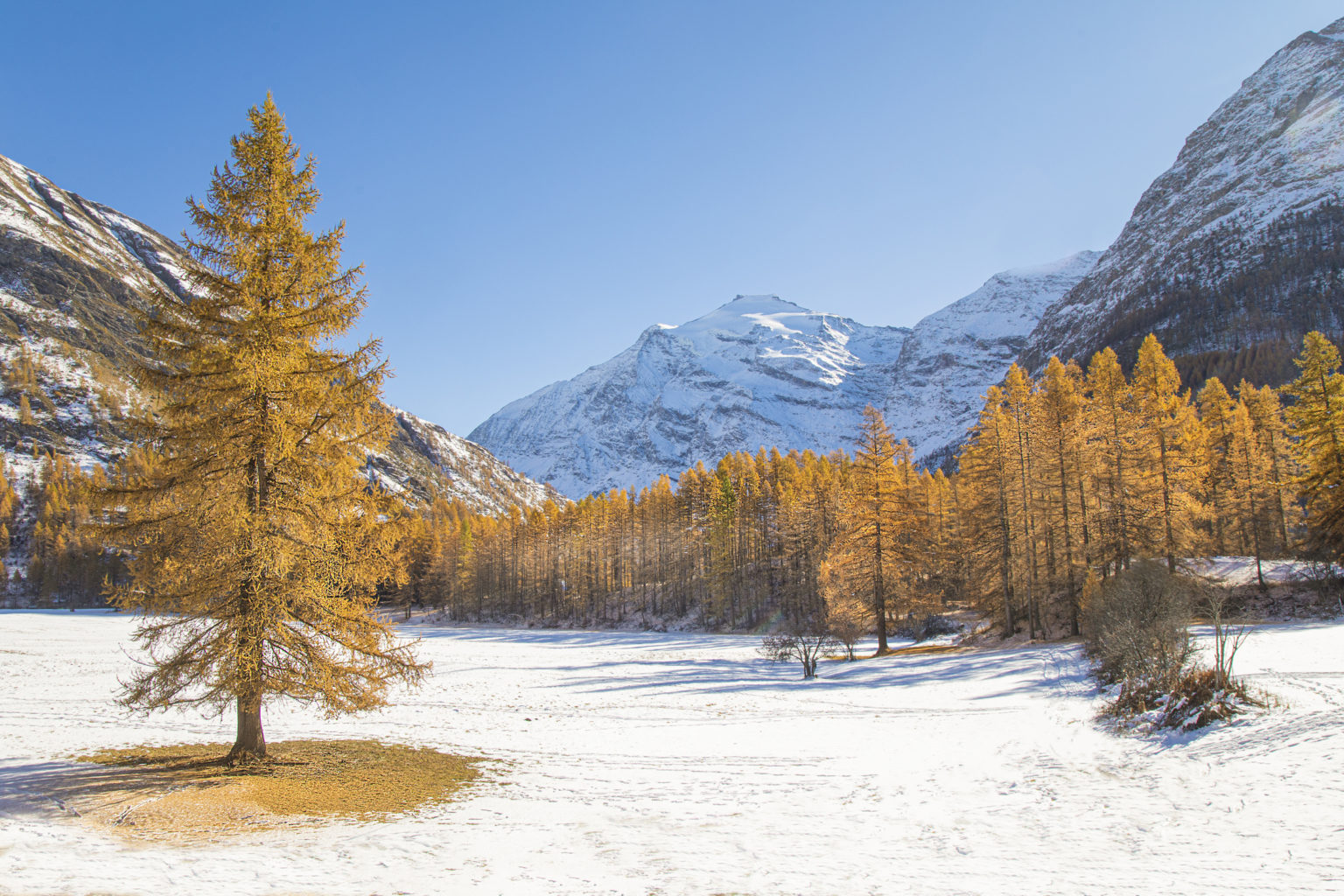 Le Charbonnel à Bessans N°562 - Gallery Viart